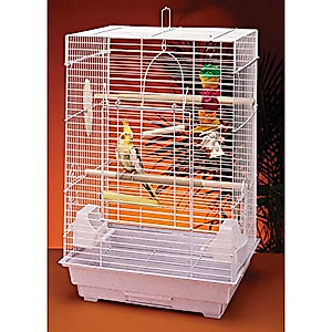 PENN-PLAX Cockatiel & Small Parrot Starter Kit with Birdcage, Cover, and Accessories – Great for Cockatiels, Conures, and Small Parrots – Square Dome – White