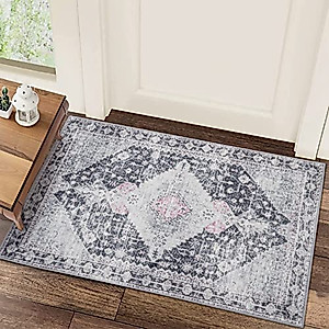 RUGSREAL Area Rug 2'x3' Machine Washable Rugs Grey Boho Rug Persian Distressed Entryway Rug Doormat Non Slip for Living Room, Bedroom, Bathroom, Kitchen, Floor Decoration Carpet Mat