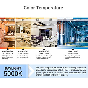 Sunlite 41077 LED Filament B11 Torpedo Chandelier Light Bulb, 5.5 Watts (60W Equivalent), 600 Lumens, Medium E26 Base, Dimmable, Edison Style, 90 CRI, UL Listed, 5000K Super White 6 Pack