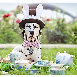 DOGWONG Easter Day Dog Collar with Bowtie, Sketch Bunny Dog Collar Soft Durable Adjustable Costume Pink Easter Puppy Collar for Small Medium Large Dog Gift