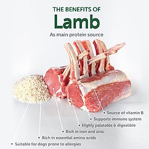 Nature's Protection Superior Care White Dogs Dry Dog Food with Lamb and Rice for Adult Small and Mini Breeds Light Coated Dogs 3.3lb