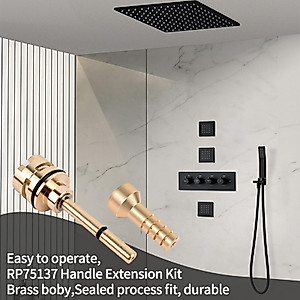 RP51919 6 setting diverter cartridge compatible with rp51919 replacement part set,Brass Construction