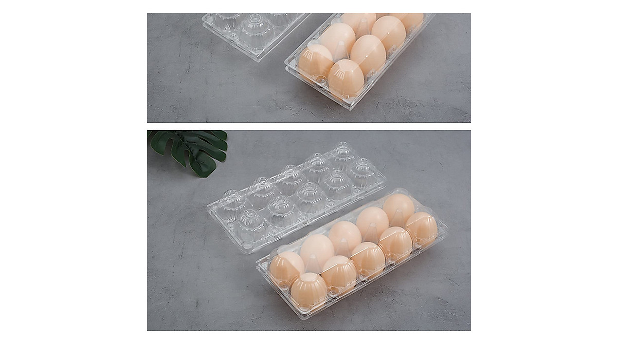 Clear Plastic Egg Cartons for 8 Eggs - 20 Pack