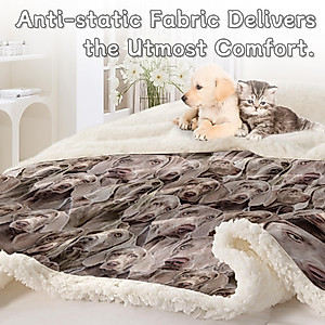 BlessLiving Fuzzy Dog Blanket for Kids Adults Puppy Lovey Fleece Blanket Reversible Animal Pattern Sherpa Throw (Weimaraner, 108x 90 Inches)