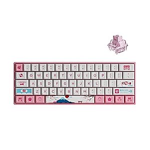 Akko World Tour Tokyo 3061S 60% Pink Wired Mechanical Gaming Keyboard, RGB Backlit, Hot-swappable Wired with OSA Profile PBT Keycaps and NKRO (Jelly Pink Switches)