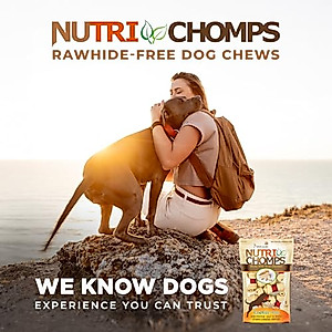 NutriChomps Dog Chews, 2.5-inch Knots, Easy to Digest, Long Lasting, Rawhide-Free Dog Treats, 8 Count, Real Chicken flavor