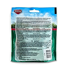 Kaytee Carrot Nibblers Small Animal Treats 5 oz