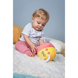 Mary Meyer Baby Einstein First Discoveries Peekaboo Blanket, 13 x 13-Inches, Zen Zebra