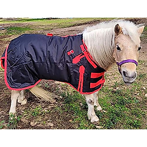 CHALLENGER 60" 1200D Miniature Weanling Donkey Pony Horse Foal Winter Blanket Red BLK 51946