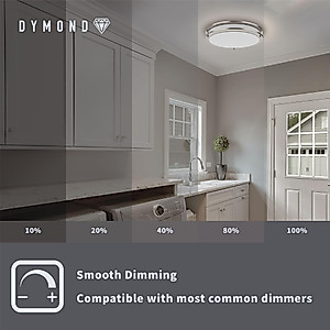 DYMOND LED Ceiling Light Fixture Flush Mount 4000K Natural Daylight Dimmable Surface Mount Brushed Nickel Ceiling Lamp for Kitchen, Hallway, Bathroom, Bedroom, Closet (12 Inch) (1 Pack)