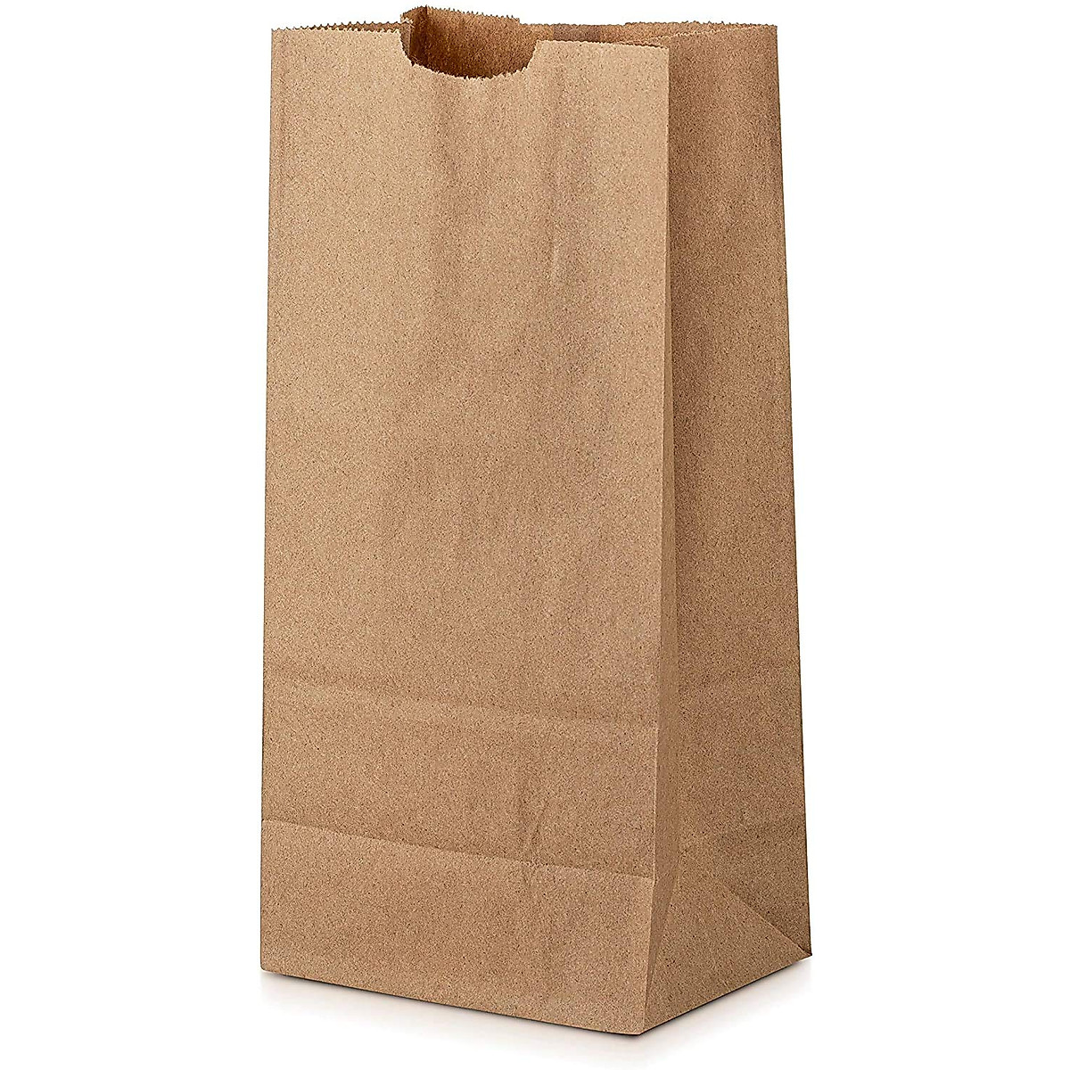 Black Duck Brand Kraft Paper Lunch Bags (30 Bags)