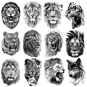 Oottati 12 Sheets Arm Waterproof Temporary Tattoo Stickers Black Fierce Tiger Lion Wolf for Men Women Teens