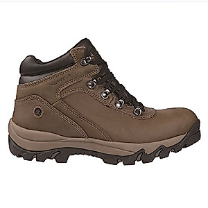 Northside Men's Apex Mid Hiking Boot, Brown, 10.5 D(M) US