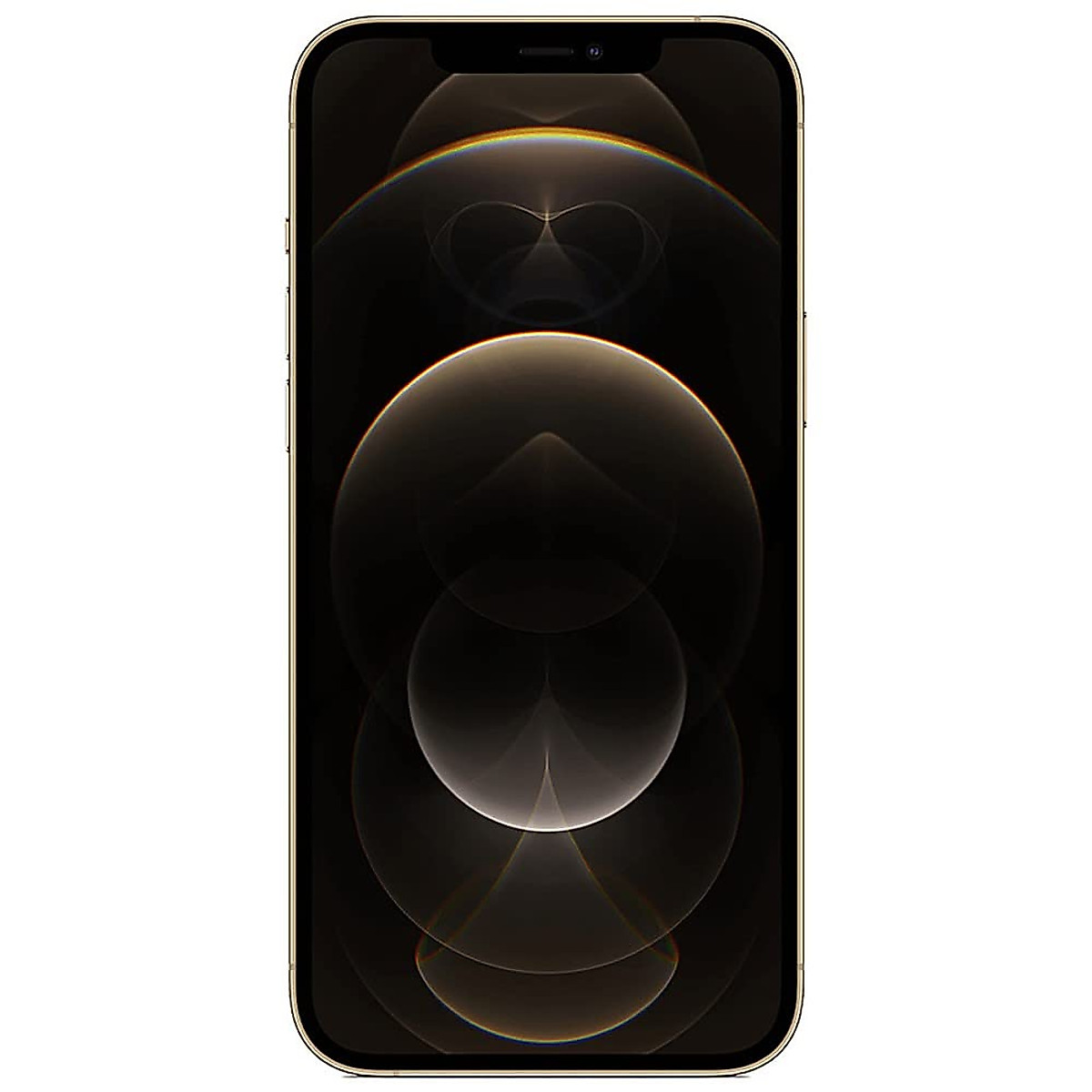 Apple iPhone 12 Pro Max 5G, US Version, 256GB, Gold - Unlocked (Renewed)