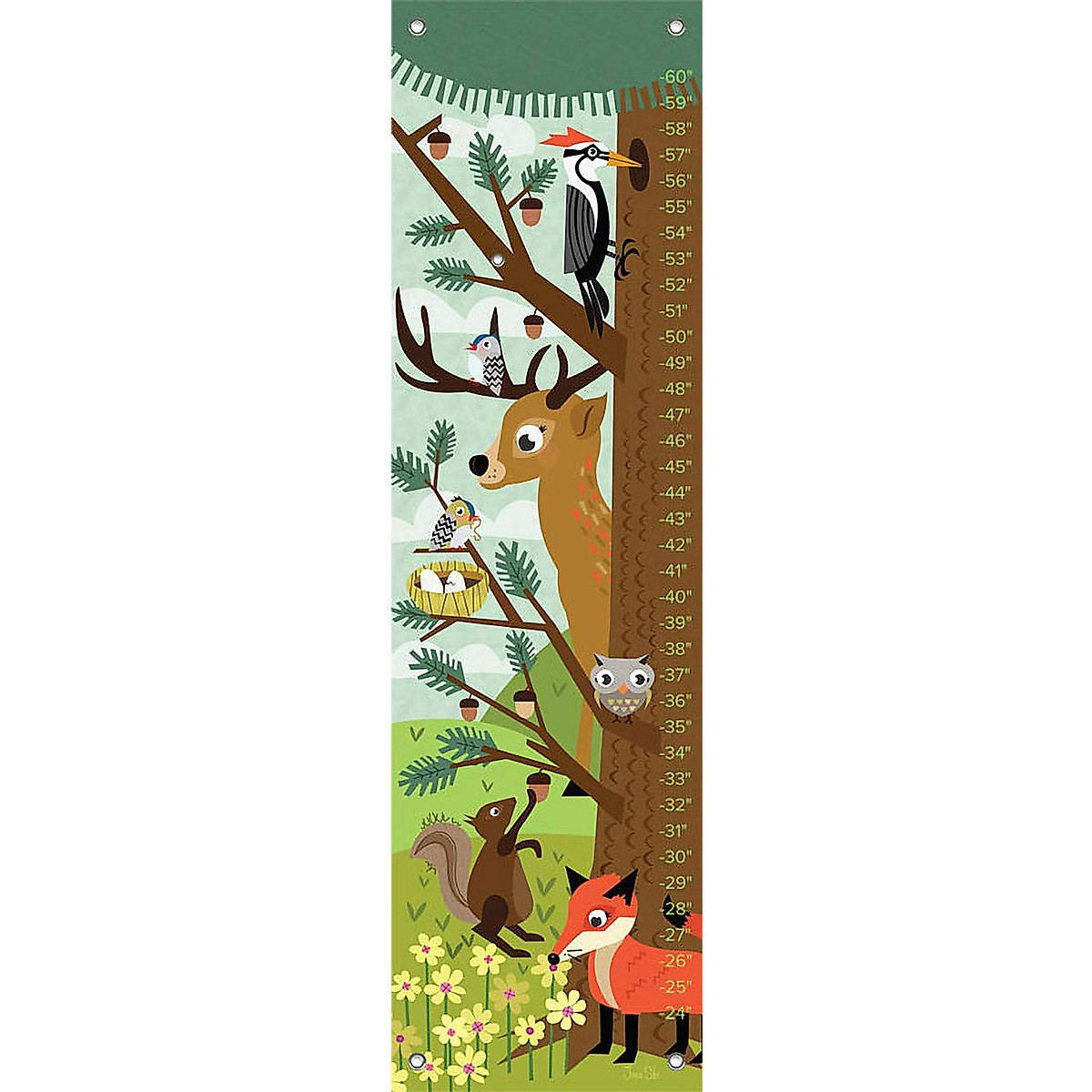 Oopsy Daisy Growth Charts Woodland Creatures by Jenn Ski, 12 by 42-Inch