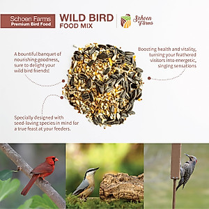 Gourmet Wild Bird Food Mix (6 LBS) Blend For Cardinals, Chickadees, Nuthatches, Woodpeckers and Songbirds