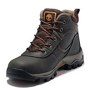 Timberland baby boys Youth Mt. Maddsen Timberdry Waterproof Hiking Boot, Dk Brown Full Grain, 3 Little Kid US