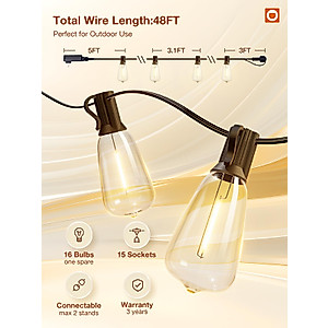 addlon 48FT Smart Outdoor String Lights, Dimmable Patio Lights with 15 Waterproof LED Edison Bulbs, String Lights for Outside Work with APP Control, Music Sync Outdoor Lights for Bistro Backyard Party