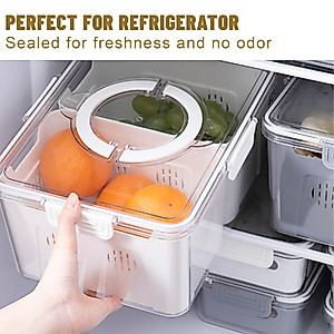 Dualshine Airtight Fruit Storage Containers for Fridge with lid and Handle,4 Removable Colanders,Food Storage Container for Fruit, Vegetables,Fresh Produce Saver,Great Refrigerator Organizer Bins