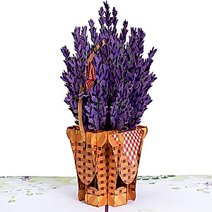 Paper Love 3D Pop Up Card, Lavender Basket, For Mothers Day, Valentines Day, Birthday, All Occasions - 5" x 7" Cover - Includes Envelope and Note Tag