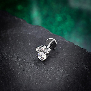 COCHARM G23 Titanium Tragus Earring Stud 16g Flat Back Threaded Helix Piercing 16 Gauge Internally Threaded Tragus Stud Cute Cz Surgical Steel 6mm Helix Earrings