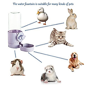 Hamiledyi Rabbit Hay Feeder,Bunny Water Fountain Automatic Guinea Pigs Hay Food Feeder Bowls Manger Rack 17oz Hanging Gravity Drinking Feeder for Ferrets Chinchillas (Purple)