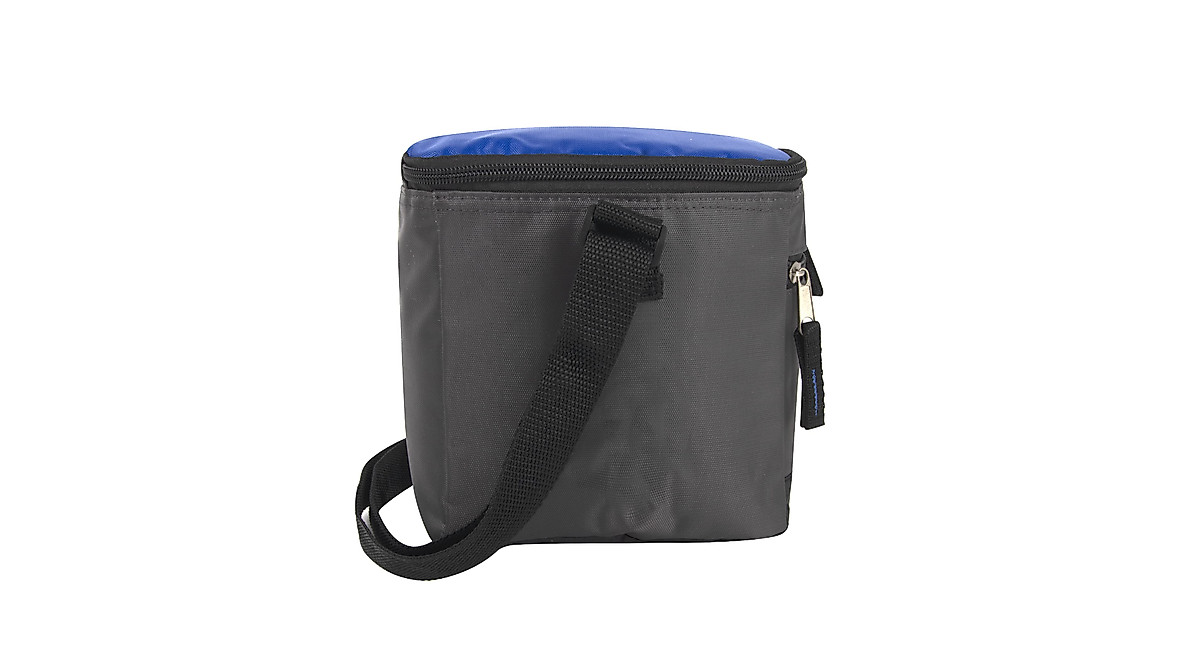 Fridge Pak 6 Can Cooler Bags Insulated Soft Cooler Lunch Bag for Men ...