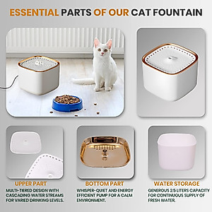 BESTIA Jack Cat Water Fountain - 67oz/2.5L Noise-Free, LED Light, Carbon Absorption Filter, Pet Water Fountain for Cats & Small Dogs (White, Polypropylene)