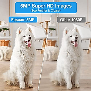 Foscam 5MP WiFi Pet Cameras for Home Security, 2.4GHz Indoor Camera Baby Monitor with 360° Pan Tilt, 2-Way Audio, 6X Digital Zoom, Night Vision, AI Human Detection, Cloud & SD Card Storage