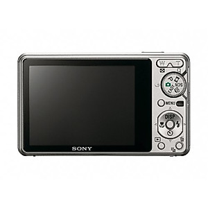 Sony Cybershot DSC-S950 10MP Digital Camera with 4x Optical Zoom with Super Steady Shot Image Stabilization (Silver)