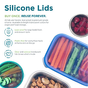 U Konserve Stainless Steel Food Storage Bento Box Container, Leak Proof Silicone Lid Dishwasher Safe - Plastic Free (15oz Clear)