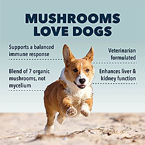 Four Leaf Rover: Seven 'Shrooms- Immune Supporting Organic Mushroom Complex for Dogs - 15 to 60 Day Supply, Depending on Dog’s Weight - Rich in Beta Glucans - Grown on Wood - Vet Formulated
