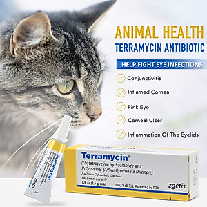TERRAMYCIN + BUNKERBOX |Antibiotic Eye Ointment w/ Metal Box Bundle - 3.5g Tube | Infection Treatment for Dogs, Kittens, & Horses Shipped in Metal Box
