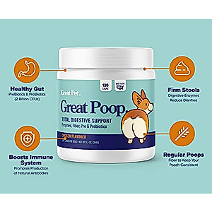 Great Poop Probiotics for Dogs - A Fiber for Dogs Supplement with Dog Probiotics and Digestive Enzymes for a Healthy Gut, Firm Stool & Diarrhea Relief - Chicken Flavored Pet Soft Chews with Prebiotics