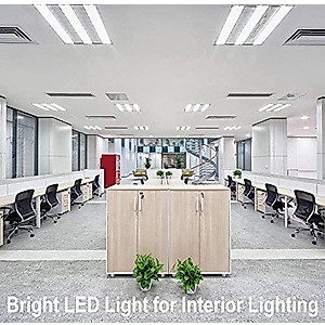 T8 LED Replacement, HouLight 25-Pack, 18W 4-Foot T8 LED Light Tube, 6000K, Daylight, Transparent Cover, Super Bright White, Double End Power