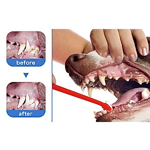 YAODHAOD Dog Toothbrush,Three Sided Dog Teeth Cleaning Tooth Brush, Dual Headed Dental Hygiene Brushes, Pet Bad Breath Tartar Teeth Care Dog Cat Cleaning Mouth Kit (5 Pcs) (Toothbrush)