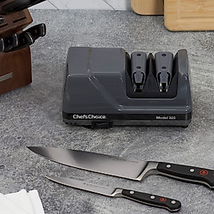 Chef’sChoice 325 Professional Diamond Hone Sharp-N-Hone Electric Kitchen Knife Sharpener NSF Certified, 2-Stage, Gray