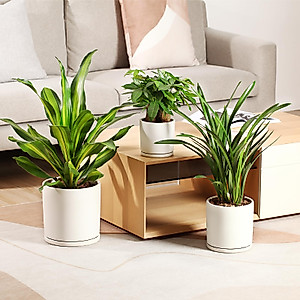 Kazeila Plant Pots Ceramic Planter for Indoor Outdoor Plants Flowers 10 Inch Matte White Large Cylinder Flower Pot with Saucer and Drainage Hole,Glazed Finish Interior and Exterior