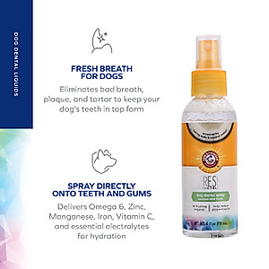 ARM & HAMMER Fresh Spectrum Coconut Mint Dog Dental Spray, 118ml, Best Dental Care for Dogs, Removes Plaque & Tartar, Freshens Breath, Gum & Teeth Cleaning, No Brushing, Easy to Use Pet Oral Hygiene