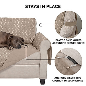 Furhaven Water-Resistant & Reversible Chair Cover Protector for Dogs, Cats, & Children - Quilted Polka Paw Living Room Furniture Cover - Biscuit, Chair