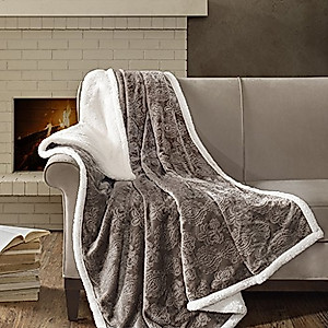 Madison Park Elma Luxury Oversized Textured Plush Throw Tan 60*70 Premium Soft Cozy Embossed Micro Velour For Bed, Coach or Sofa