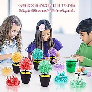 Crystal Growing Kit, STEM Projects Science Kits for Kids Age 8-12, Girls Toys 8-10 Years Old, Crafts Gift Toys for 6 7 8 9 10 11 12 years old Girls & Boys
