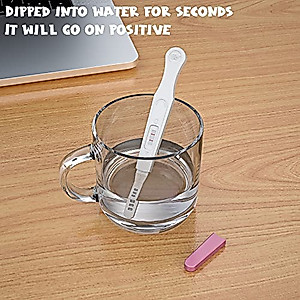 Acessorz Fake Prank Joke Pregnancy Test Always Positive - April Fool's Day Practical Joke, Prank, Gag, False Pregancy Test Kit, 4 Pack Pink