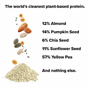 Complement Organic Unflavored Vegan Protein Powder (15 Servings) Low Carb, Low Calorie, Sugar Free, Soy Free, Non-GMO, Gluten Free, Non Dairy- Yellow Pea, Pumpkin Seed- 15g Plant Based Protein Powder