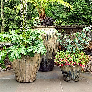 20 Pack Pot Feet for Outdoor Planters - Invisible Plant Risers for Medium and Large Sized Heavy Pots - 3/4" Elevators - Work Great On Patio and Deck Use - Made in USA