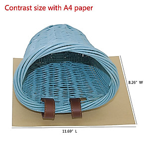 Bike Basket, Little Box Made by Willow for Bicycle, Arts and Cirafts Chldren's Bicycle Basket (Blue)