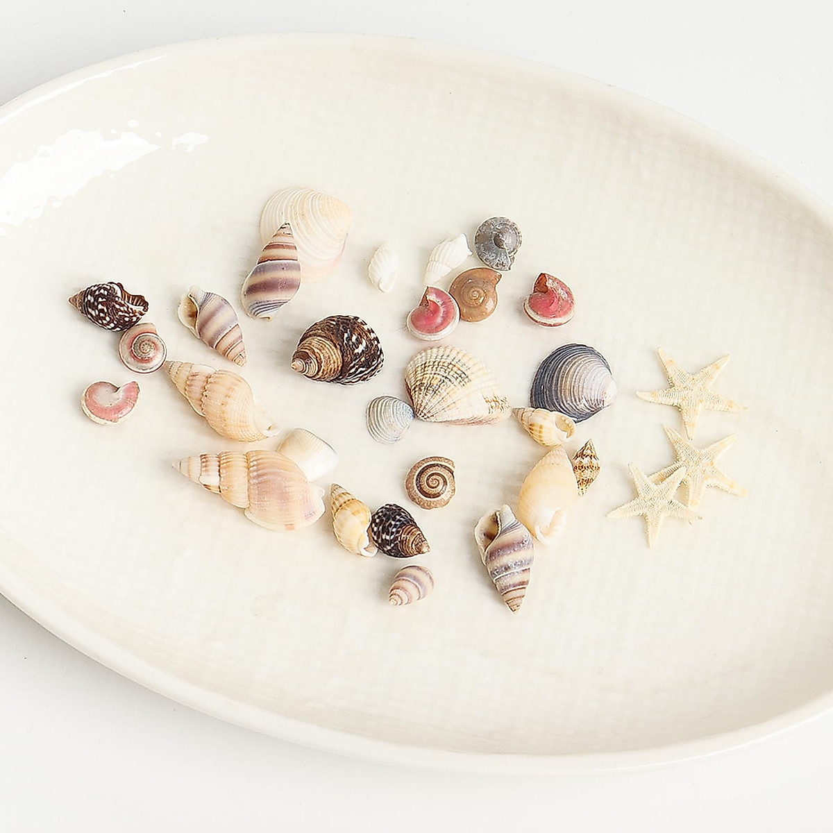 HAPY SHOP 1200 PCS Tiny Sea Shells Small Natural Starfish Mixed Ocean Beach Spiral Seashells for Home Decorations,Wedding Decor,Candle Making,Beach Theme Party,DIY Crafts and Vase Filler