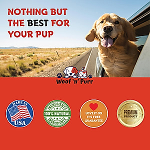 Natural Dog Antibiotics - Antibiotics for Dogs - Supports Immune Health, Itch Relief, Allergy Relief & More - Antibiotic for Dogs - Itch Relief for Dogs - Yeast Infection Treatment for Dogs - 1 oz