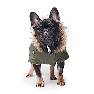 Canada Pooch Winter Dog Coat Water-Resistant Insulated Dog Jacket Faux-Fur Trim Dog Parka Coat for Dogs - Army Green, Size 14