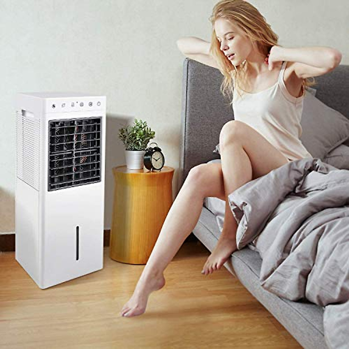 HealSmart 30'' Evaporative Air Cooler Fan with Humidification, Repellent and Anion Function, 2 Gallon Water Tank, 3 Speeds Setting, Remote Control, White